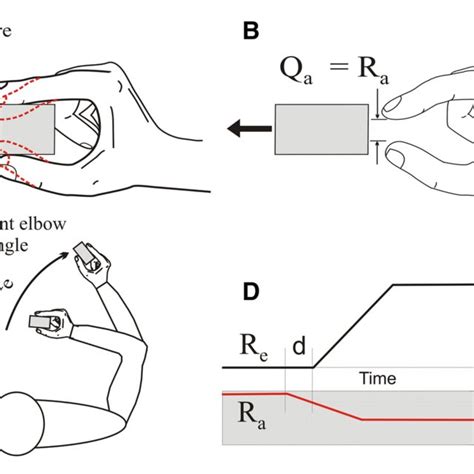 Types And Prevalence Of Patterns Of Grip Force Gf Modulation For Download Scientific Diagram