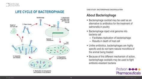 Encapsulation For Industrial Applications Pptx Chemistry Science
