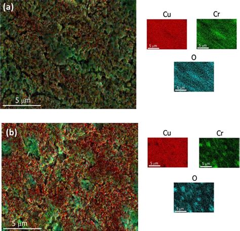 EDS Layered Image And Elemental Mapping Of Cu 8 At Cr Sample
