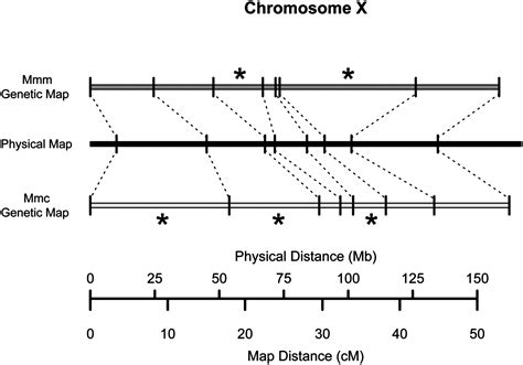 Extensive Recombination Rate Variation In The House Mouse Species