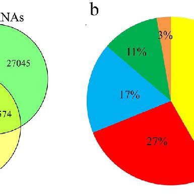 Overview Of The Identified LncRNAs A Venn Diagram Illustrating The