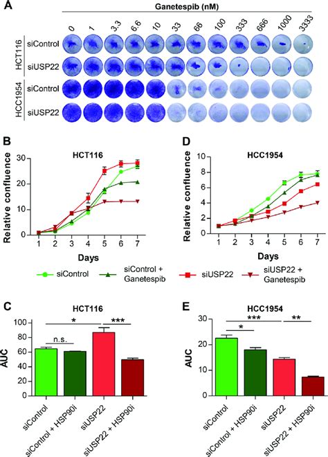 Usp22 Deficiency Sensitizes Cancer Cells Towards Hsp90 Inhibition A
