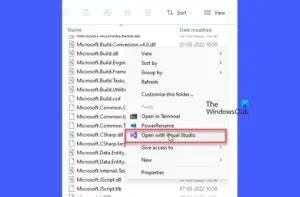 Como Abrir Arquivos DLL No Windows 11