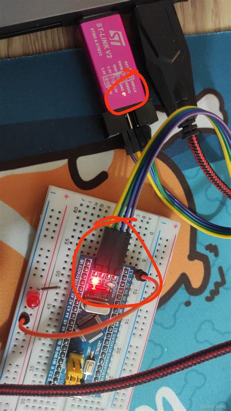 【stm32f103单片机】利用st Link V2烧录程序 面包板的使用stlink V2烧录 Csdn博客