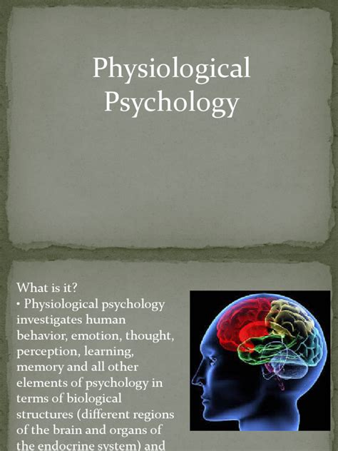 For Phy Psy Pdf Brain Functional Magnetic Resonance Imaging