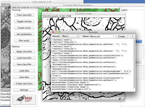 trainable weka segmentation imagej