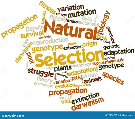 Natural Selection Meaning