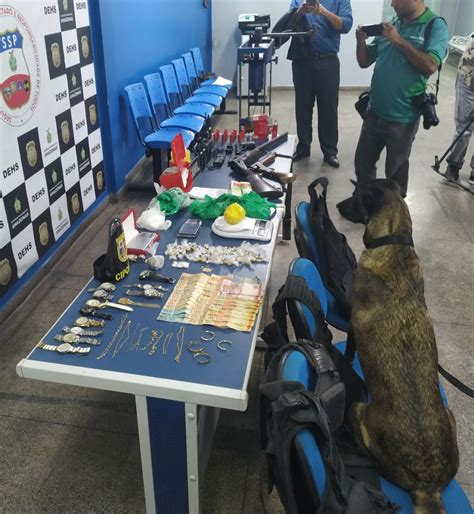 PM realiza flagrante auxílio de cão farejador em operação conjunta Portal o Mundo
