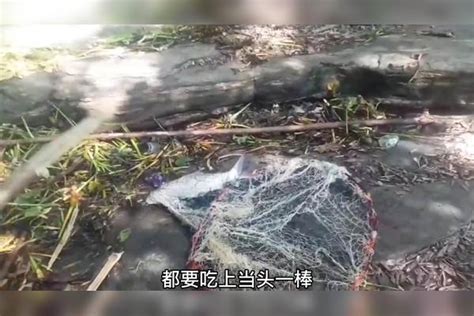斯里兰卡水库放水，下游的渔民拿着抄网捕鱼户外抓鱼 纪录片