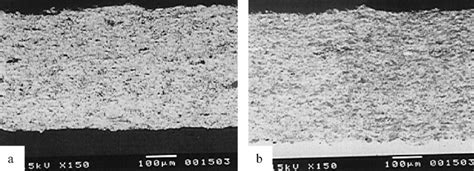 Sem Micrographs Of Transverse Section Of Wc 10co 4cr Coating In