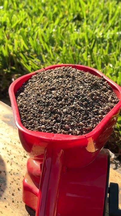 Trugreen Customer Want More Green Youtube