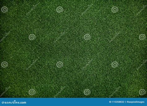 Green Grass Wallpaper With Design Space Stock Vector Illustration Of
