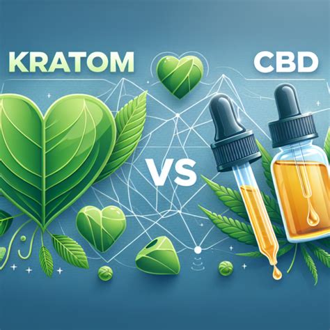 Differences Between DHA Vs DHEA Supplement Racer Ephedra