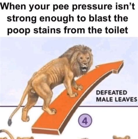 Defeated Male Leaves R Memesofthedank