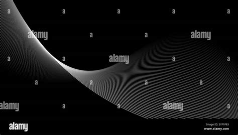Abstract Black Background With Flowing White Curved Lines Creating A Wave Effect Vector