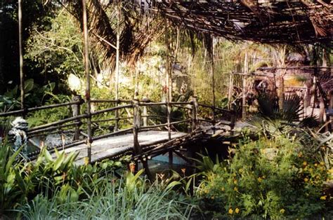 Feature Films Andrew Mcalpine