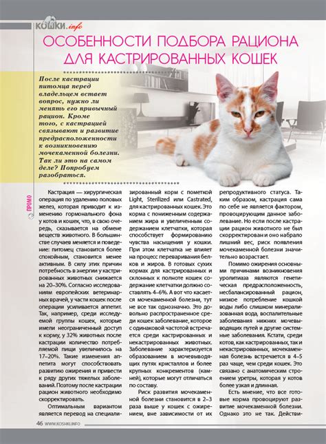 Как правильно кормить стерилизованную кошку: через сколько после ...