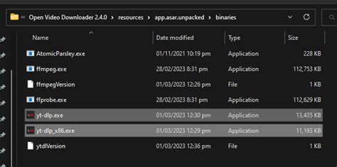 Error Binaries Missingcorrupted · Issue 466 · Jely2002youtube Dl