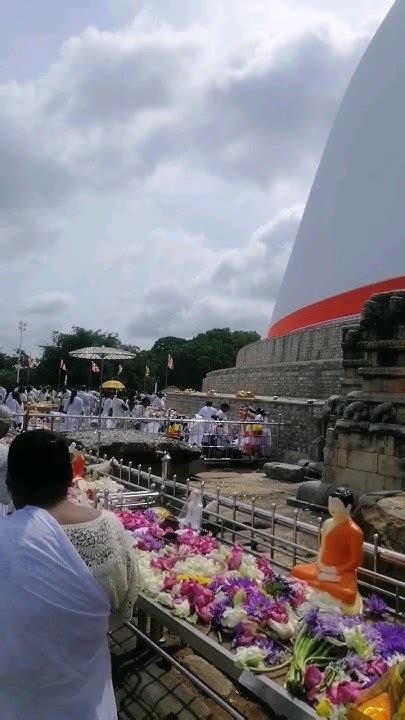 අපි අසරණ වේලා වගේ අපිට දැනෙනවා බුදු හාමුදුරුවනේ 🙏🙏🙏viralvideo Youtube