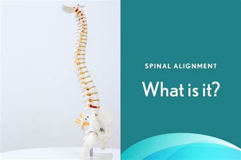 Understanding Spinal Alignment Why Its Important For Your Overall