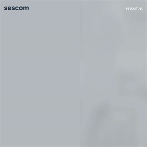 Sescom Europe On Linkedin Sescom Academy Keeps Going