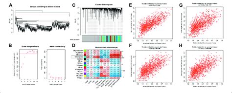 Wgcna Using Lncrna Expressions A Sample Clustering To Detect