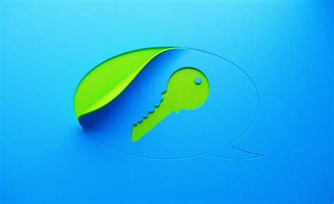 Make Sufficiency Sexy Council On Business And Society Insights