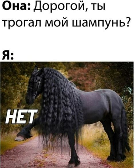 Создать мем фриз фризская лошадь фризская лошадь грива фризская