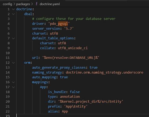 Connecter Doctrine à Une Base De Données Postgresql Dans Un Projet