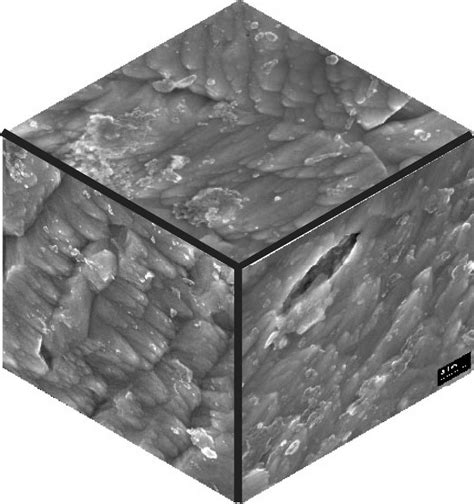 Microstructure Of Pure Copper After 11 Pressings Through The Die Via Download Scientific
