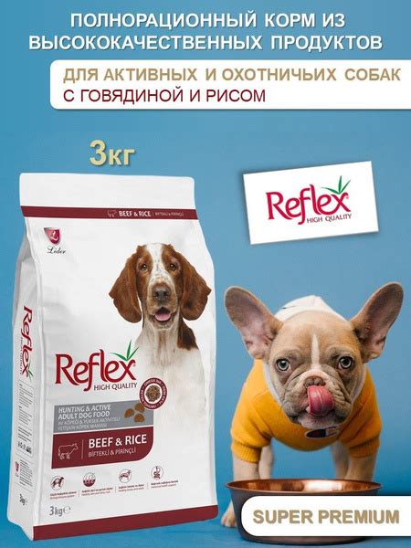 Reflex Active & Hunting Adult Beef & Rice / Сухой корм Рефлекс для ...