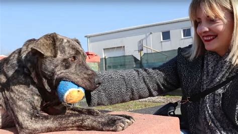 Bravo Matea Pomoći Spasiti Nečiji život Ima Li Bolje Plaće Na Svijetu