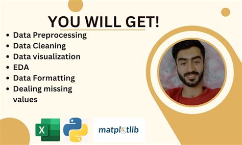 Be Your Expert In Data Preprocessing By Owaisahmad315 Fiverr