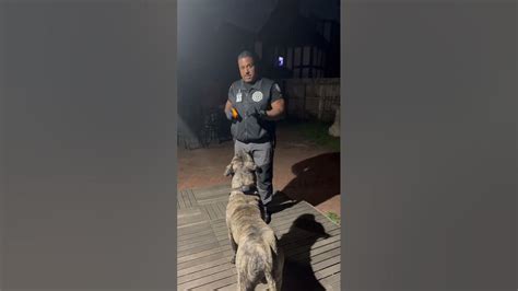 5 Safety Tips to Prevent a DOG Attack! - YouTube