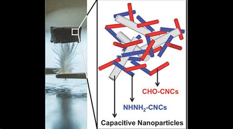 Cellulose Substrate Eyed For 3d Supercapacitor Technology Machine Design