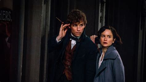 Newt And Tina Harry Potter Fan Zone