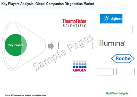 Companion Diagnostics Market Research Report 2027 Mti