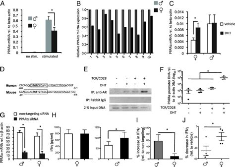 Pparα Has A Sex Specific Role In Inhibiting Th1 Cytokine Production By Download Scientific