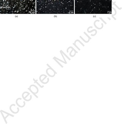 Microstructure Of The Functionally Graded Composite At The Surfaces Of