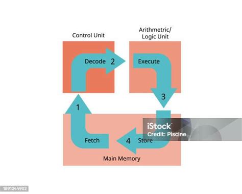 Process Of Cpu For Fetch Decode Execute And Store Stock Illustration