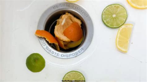 Clever Ways To Use Up Leftover Orange Peels