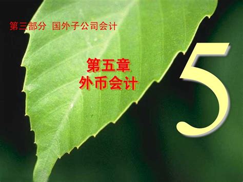 国际会计课件第五章外币会计 word文档在线阅读与下载 无忧文档