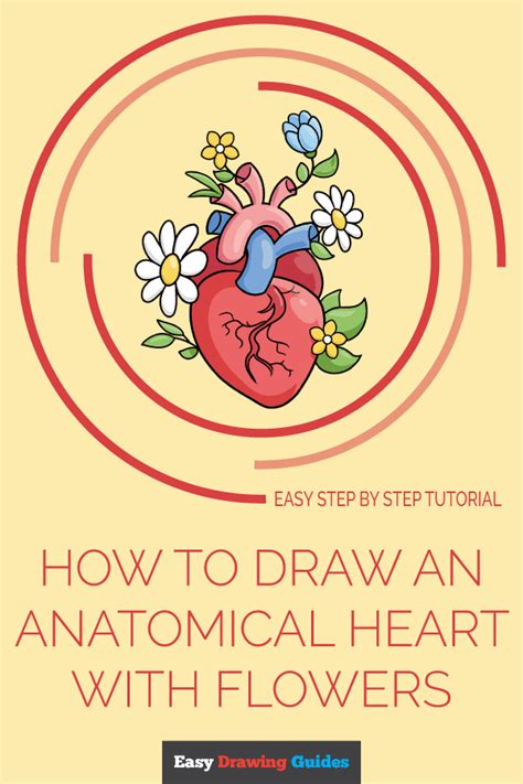 How To Draw An Anatomical Heart With Flowers Really Easy Drawing Tutorial