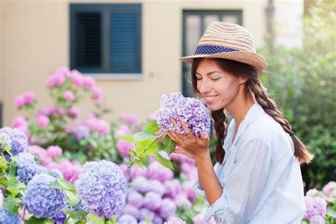 3 flores que debes plantar en marzo para tener un jardín frondoso en