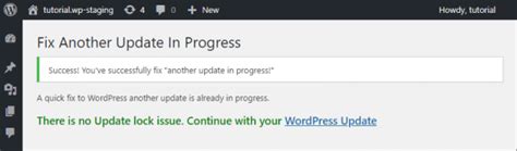 how to fix the error another update in progress in wordpress wp staging