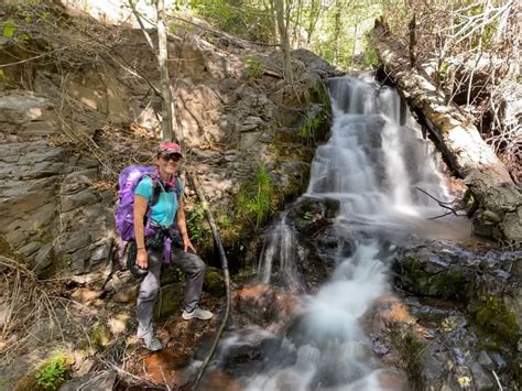 Hike Kp Creek Loop For Waterfalls And Impossibly Tall Trees Wildpathsaz