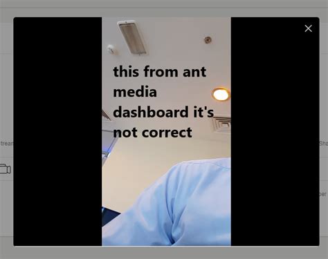 Setmirror Error In Android Webrtc Sdk · Issue 3025 · Ant Mediaant