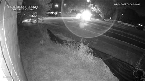 Driver Arrested For Dui After Crash With Hillsborough Deputys Cruiser