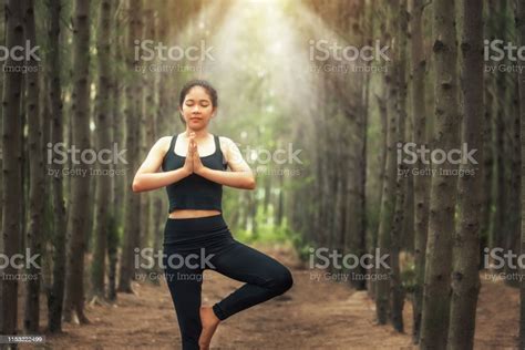 아름 다운 여자 연습 요가 포즈가 문 비 나무 숲 자연가을 서 뒷 전망 건강 한 라이프 스타일 여름 휴식 개념에 대한 스톡 사진