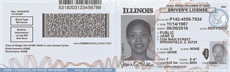 Illinois Drivers License Barcode Leelasopa